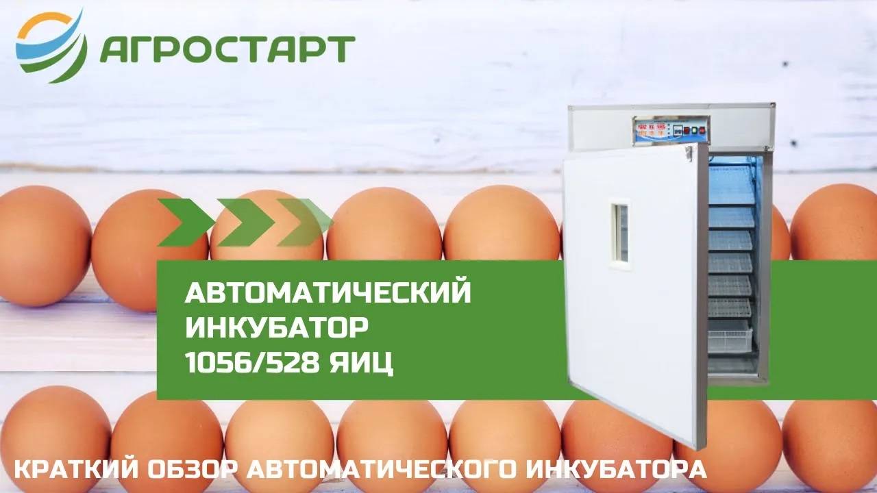 Краткий обзор автоматического инкубатора 1056 и 528 яиц. Агростарт