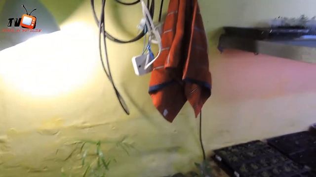 Комната для растений ""ФИТО КОМНАТА""