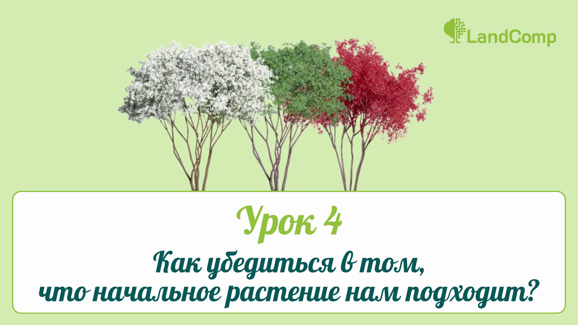 Урок 4. Как убедиться в том, что начальное растение нам подходит