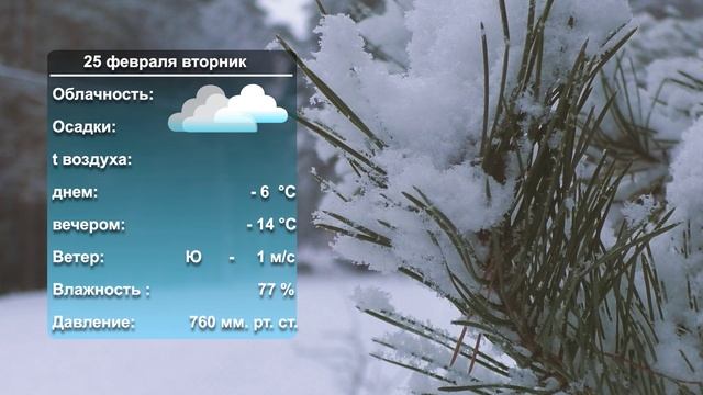 Погода на завтра_ 24_02_2025