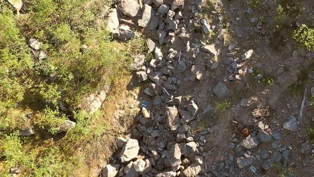 Медведь на Верхне-Териберской ГЭС