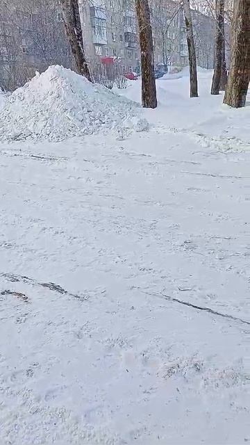 Механизированная уборка (17 января 2025) 2 часть