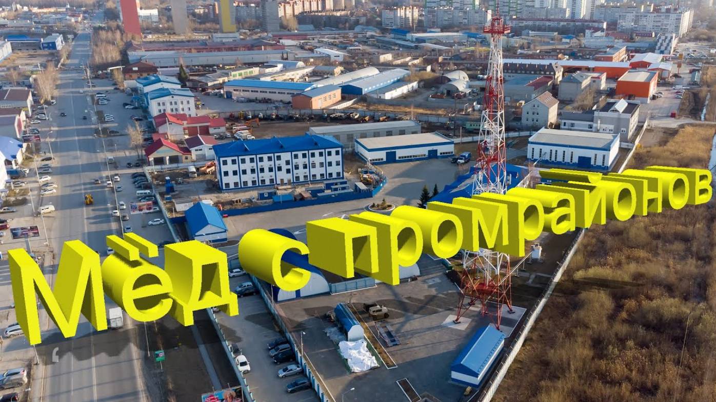 Вся правда о мёде из городов и промзон – профессор Кашковский объясняет