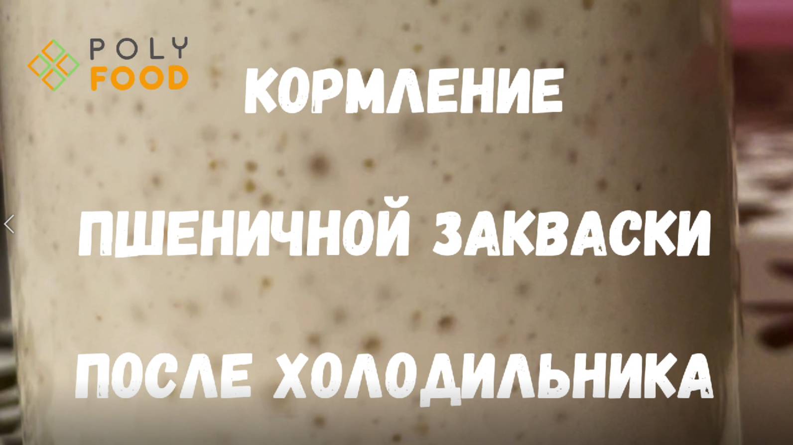 Кормление (ведение) закваски "Пшеничная. ВЕЧНАЯ" от PolyFood