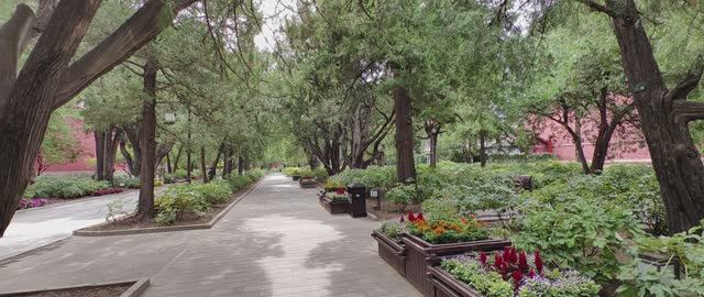 Пекин. Парк трудящихся. Немного сарказма.