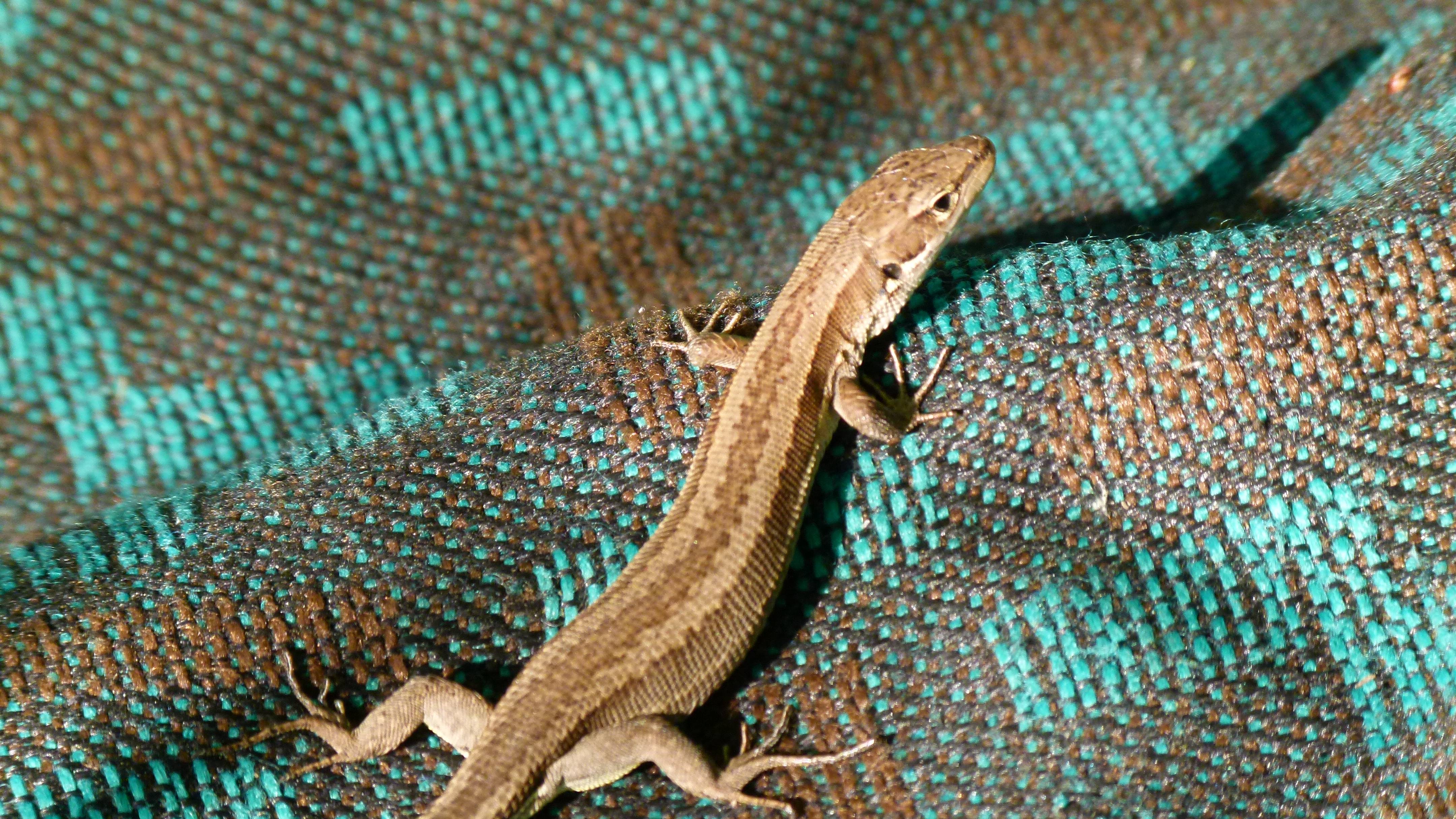 Владимир Швецов - "ПриРАдавидение" - (часть 1)