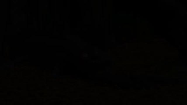 Diving into the mesmerizing underwater world, nature at its finest.