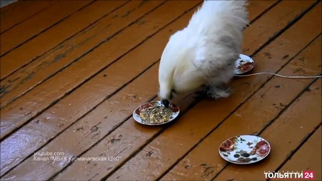 «Ни слова больше». Новый год. 31.12.2022