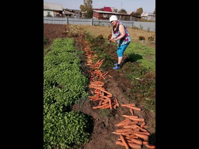 2019 - мои Друзья в Одноклассниках (часть 5)