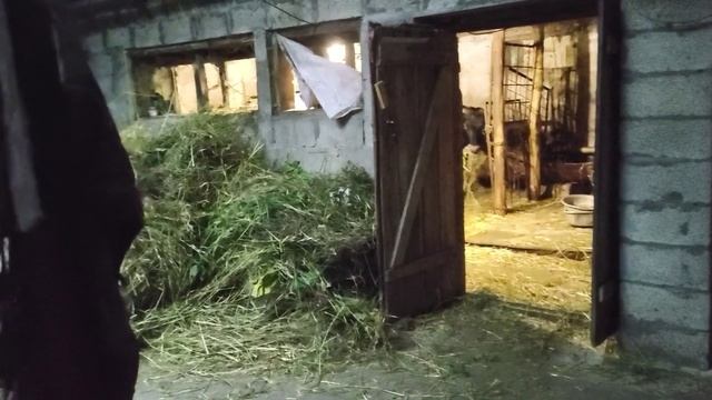 1 ВСТРЕЧА С РОДНЫМИ