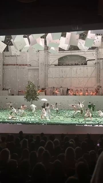 ОХ, УЖ ЭТО СОВРЕМЕННОЕ ИСКУССТВО #париж #балет #представление