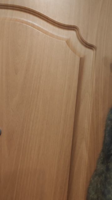 12. Рзаева Михарбан  - «Быть котом не так уж плохо -2025»