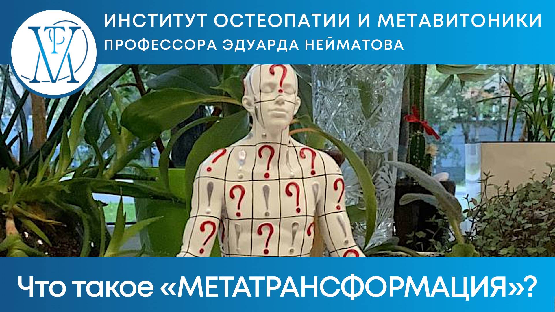 Метатрансформация - это больше, чем тренинг