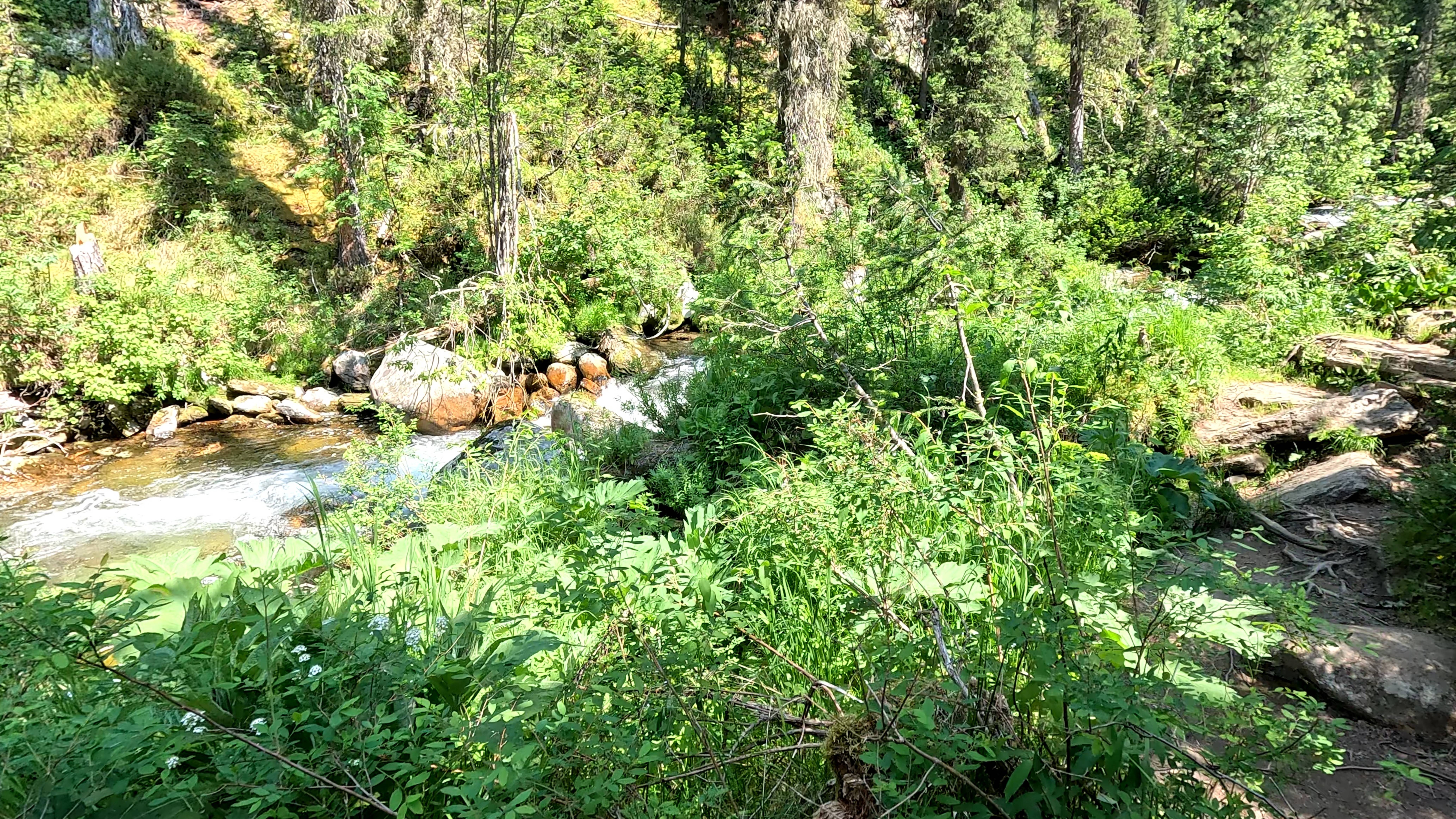 Тропа вдоль ручья Тушканчик. 1 часть(живой звук природы)
Съемка GOPRO HERO 12 Black