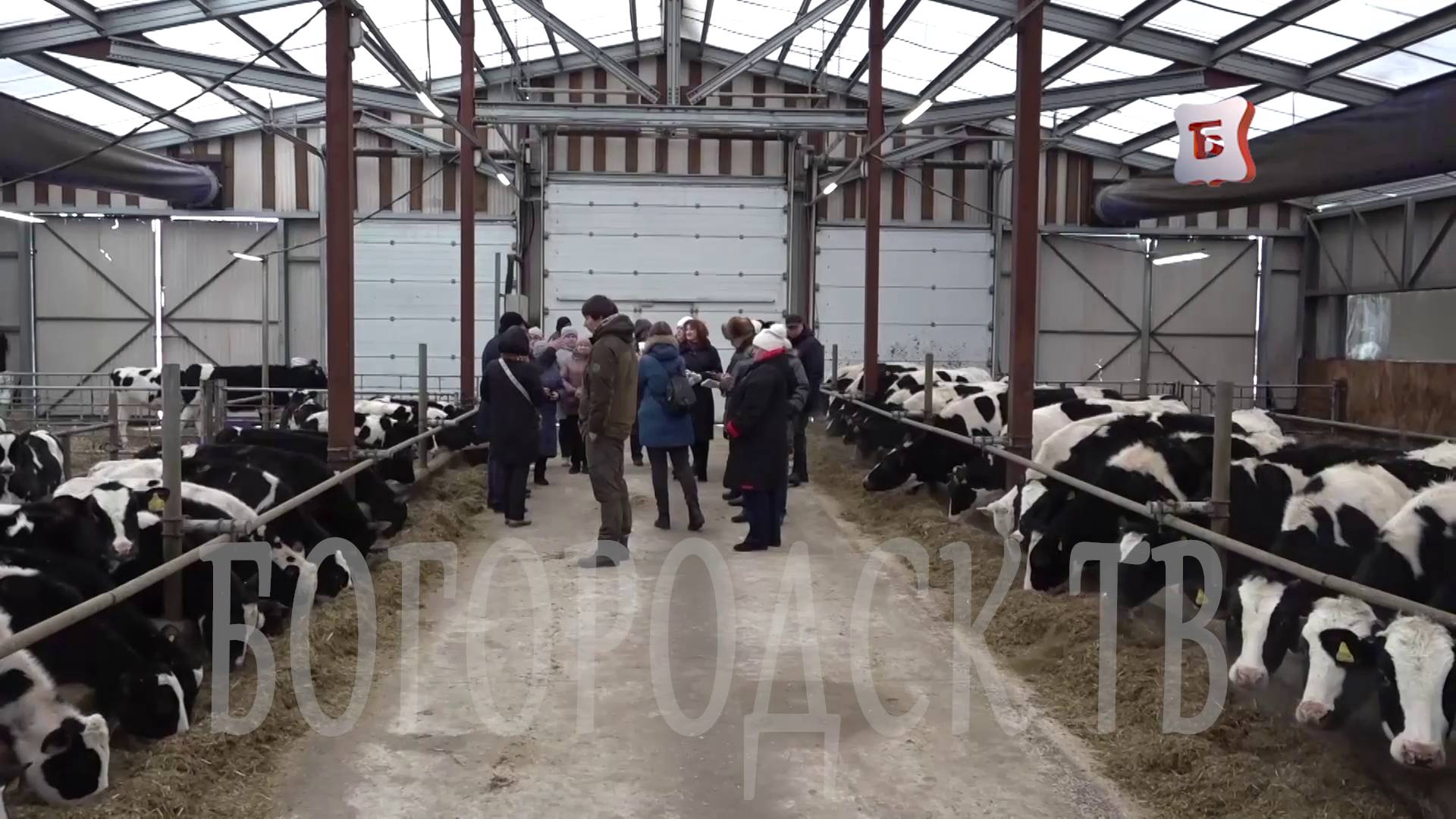 НОВОСТИ БОГОРОДСКА (ВЗАИМОПРОВЕРКА СЕЛЬХОЗПРЕДПРИЯТИЙ.КАК ПРОШЛО ВЫЕЗДНОЕ СОВЕЩАНИЕ) 834 ВЫПУСК