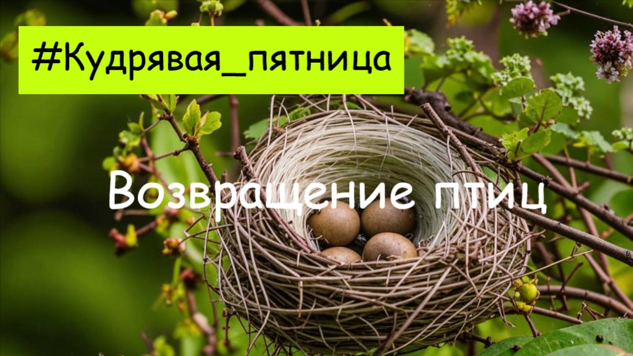 Возвращение птиц)