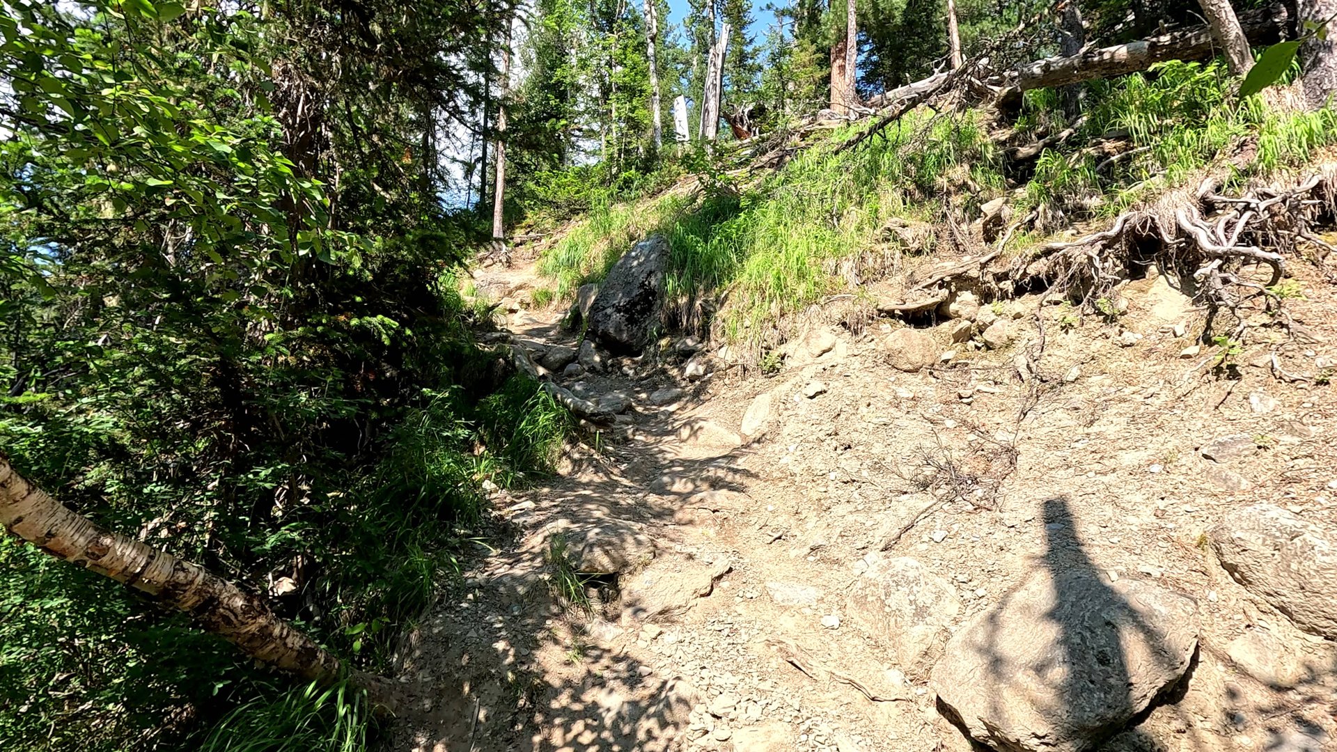 Тропа вдоль ручья Тушканчик 2 часть. Муравьиная Горка. (живой звук природы)
Съемка GOPRO HERO 12