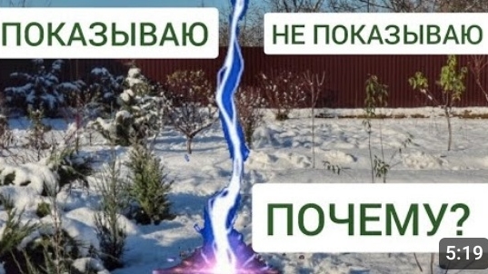 ПОЧЕМУ НЕ ПОКАЗЫВАЮ ВЕСЬ САД. 24.11.2024г.