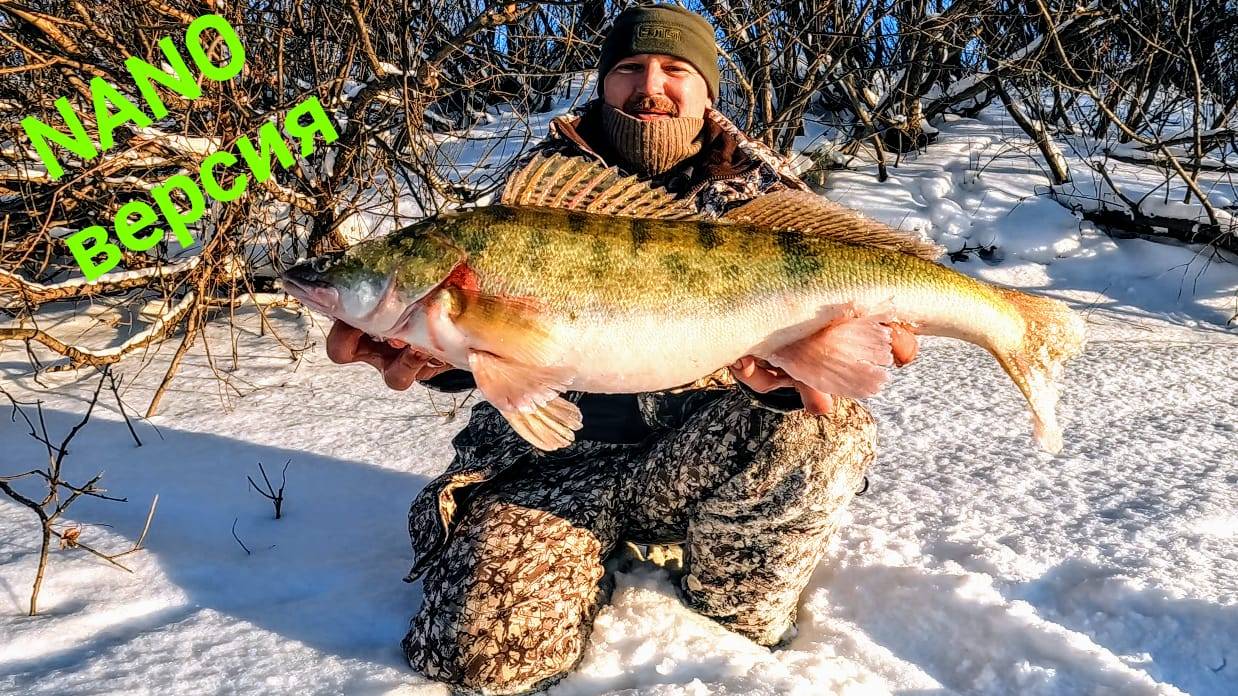 ТОННЫ рыбы ЕКЛМН или МЕШОК рыбы на хапуги !!! Загонная рыбалка на хапуги 2025. Рыбалка 2025