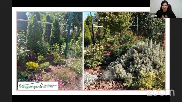 Я не хочу иметь никаких дел с огородом. Так думала Злата, пока не прошла обучение #strogoorganic