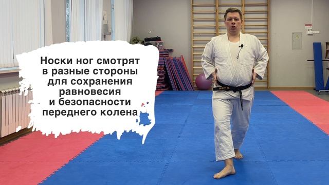 Демонстрационный ФРАГМЕНТ онлайн курса по айкидо (видео 6-демо)