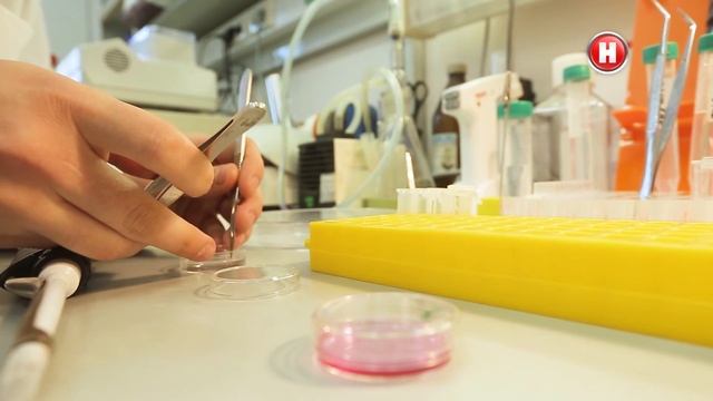 Можно ли остановить старение человеческих клеток. Программа «Новые люди» #21. 12+