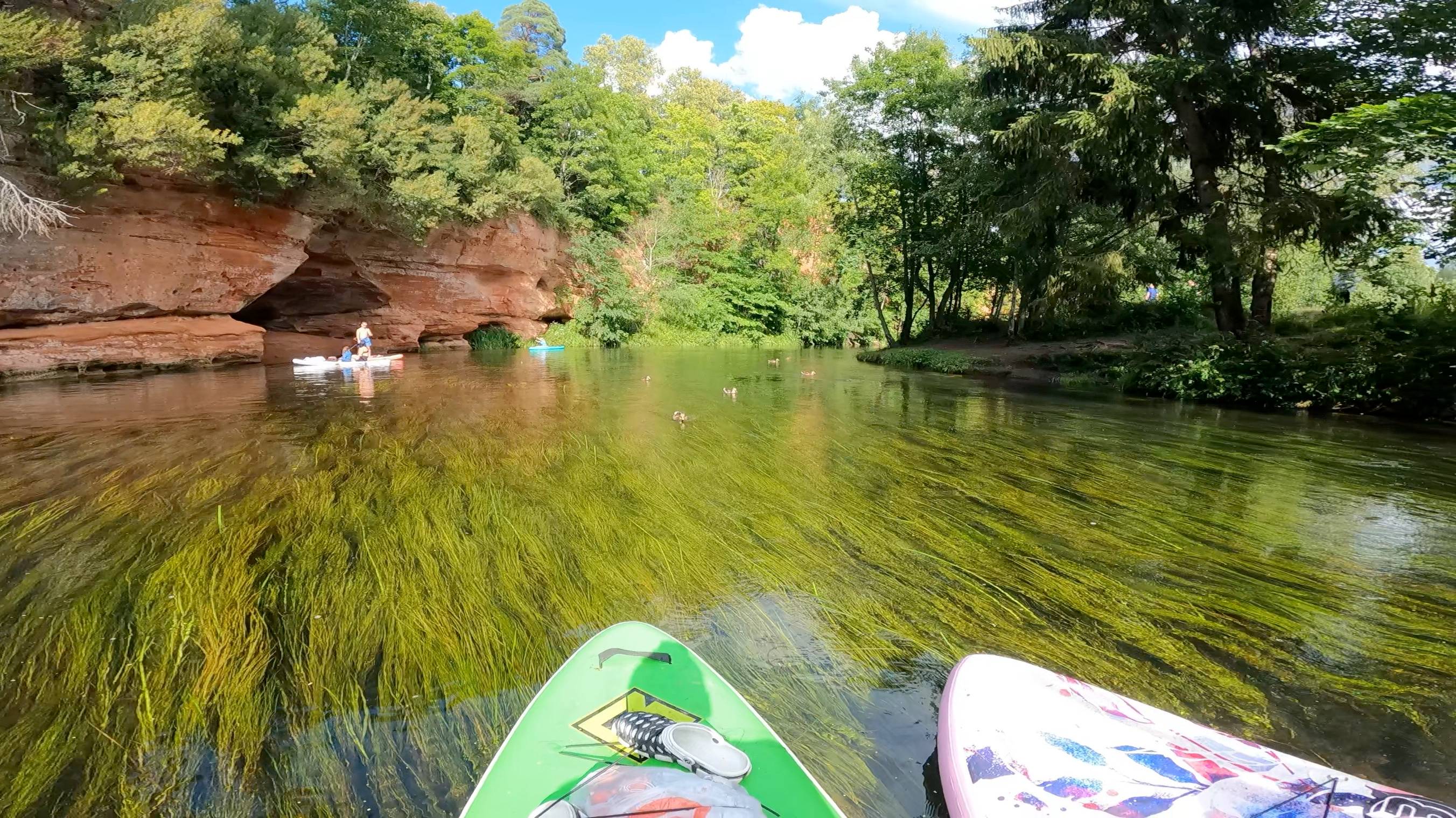 Оредеж на Сапе. Встать и не упасть в воду, так ли сложно новичку? Самые красивые места для фото ч.2