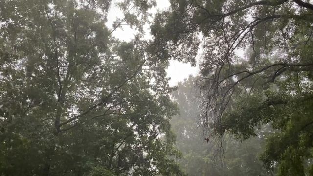 Расслабляющий шум проливного дождя для сна.