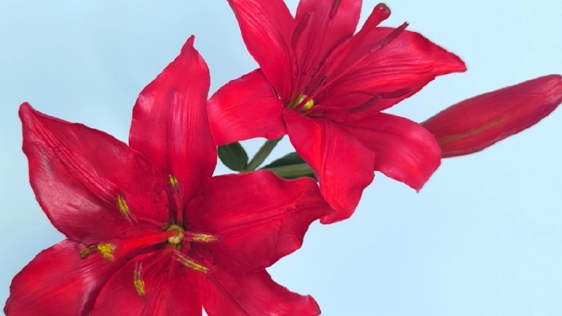 лили из холодного фарфора ( мои работы, Мурзилкина Ольга)