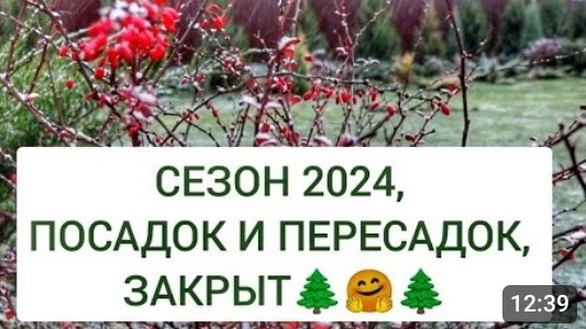 СЕЗОН 2024, ПОСАДОК И ПЕРЕСАДОК, ЗАКРЫТ 🌲🤗🌲. 16.11.2024г.