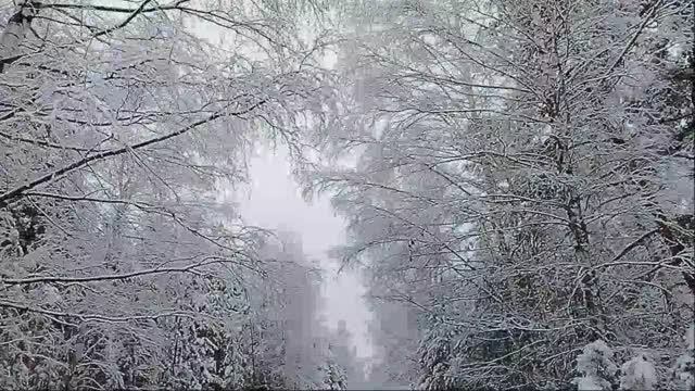 ЗИМНЯЯ ❄️❄️❄️ СКАЗКА