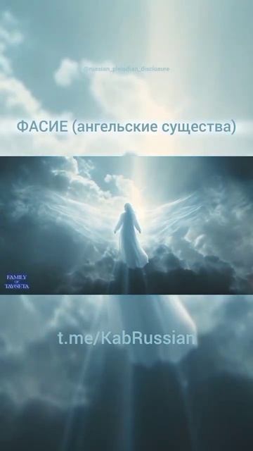 Правда об Ангелах с крыльями