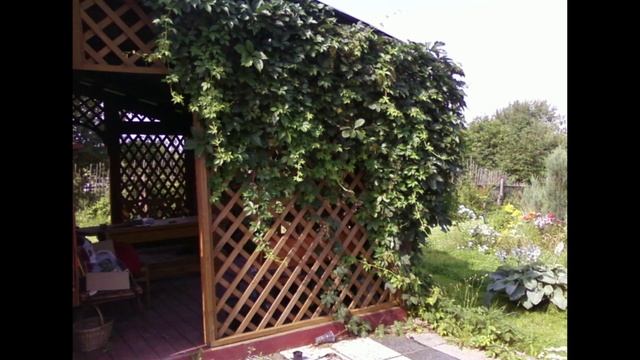 Дача в деревне 2