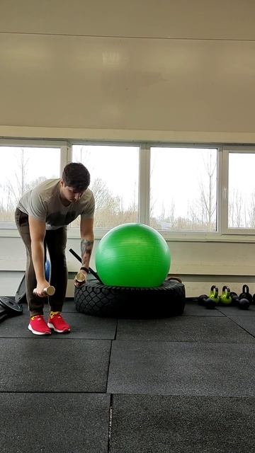 тяга в наклоне с гантелями( поочередно)