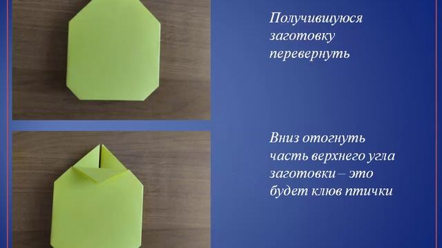 Забавные птички