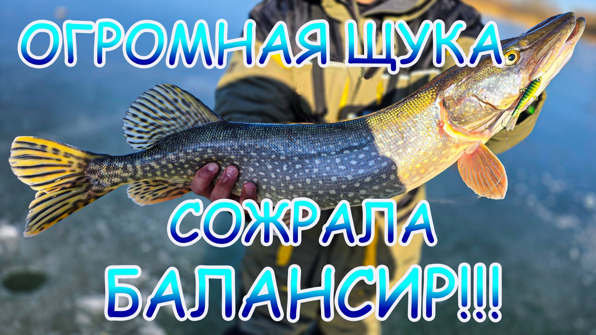 Огромная ЩУКА сожрала балансир💪 Рыбалка зимой со льда 👍 Где искать щуку?