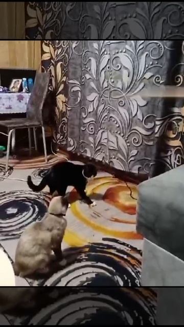 3 Строителев Александр - «Делай как я!»