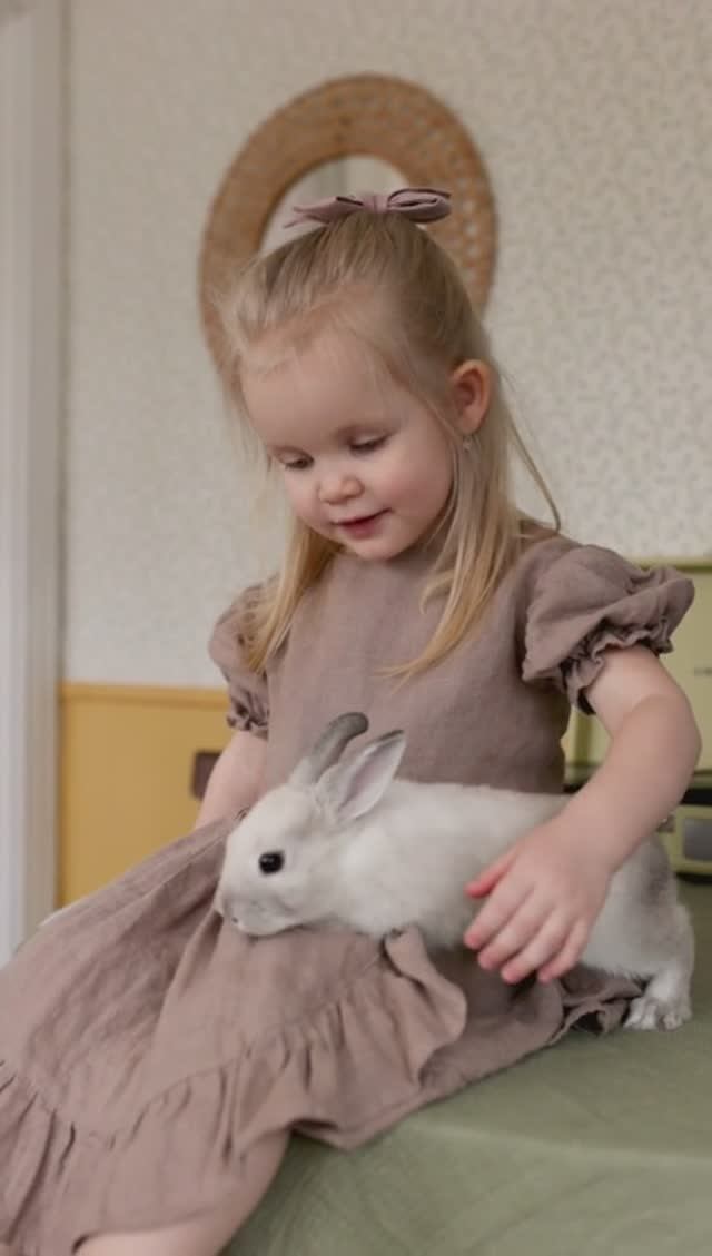 Милый и трогательный рилс с кроликом  #shorts #short #love #videography