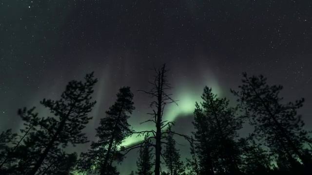 Расслабляющее ночное небо.Звуки сверчков.Для крепкого сна.