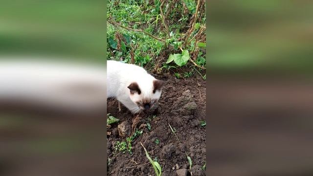 7. Садыкова Афина - «Бас охотник»