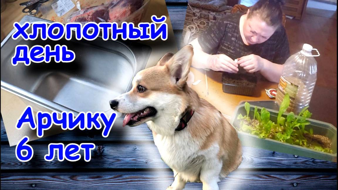 32-25! ВЛОГ/КАБИНЕТ МАКСА/ПИТЬЁ С ПОЛЬЗОЙ/ХЛОПОТЫ С РАСТЕНИЯМИ/ОБЕД/ПЛАНЫ/АРЧИКУ 6 ЛЕТ/