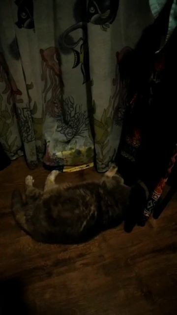 8. Князева Жанна - «Кто там спрятался за шторой?»