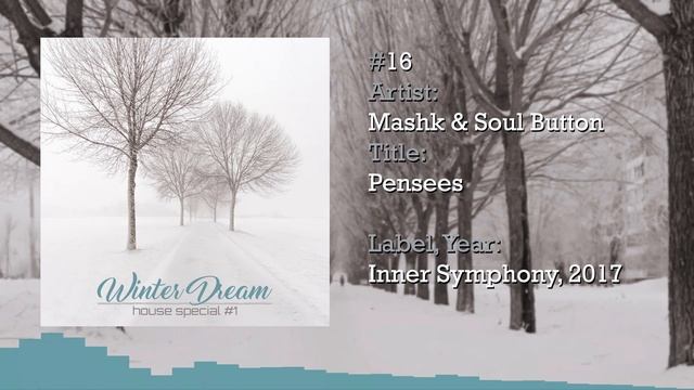 Black Shadow - Winter Dream • House Special #1 (Studio Mix)
