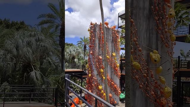 Тропический парк Нонг Нуч — ботанический сад близ Паттайи, Таиланд. Август 2024 года.