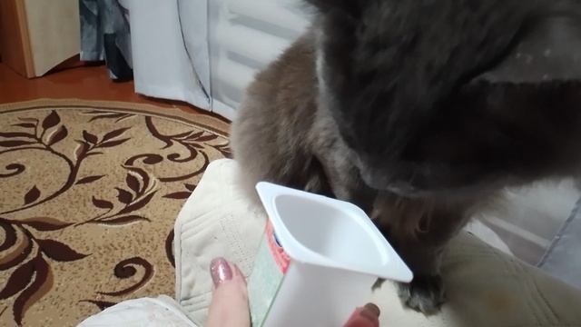 10. Фатеева Софья - «Ты ж моя сладкая»