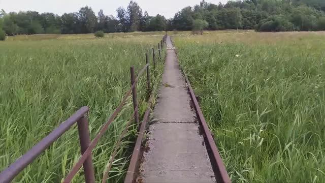 Шумит трава.