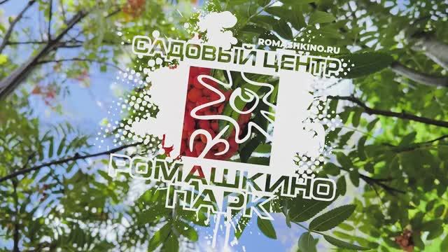 Летняя прогулка по садовому центру "Ромашкино Парк" 2024