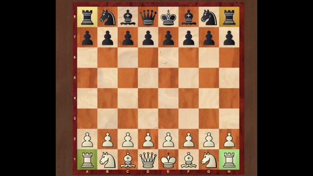 Шахматы для начинающих. Доска и расстановка фигур