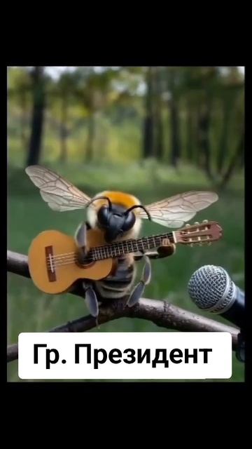 Гр. Президент