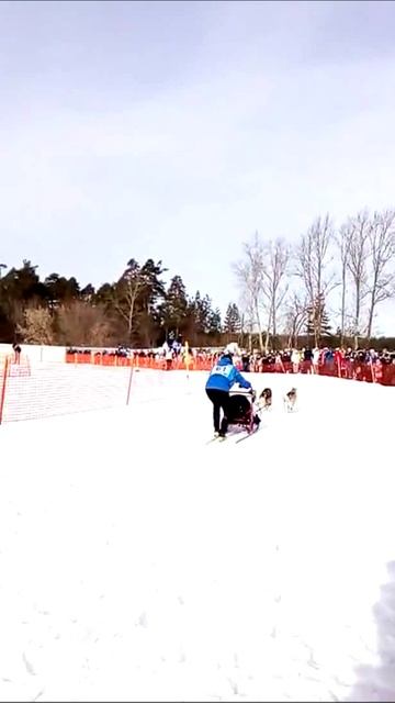 зимняя сказка в Решетихе